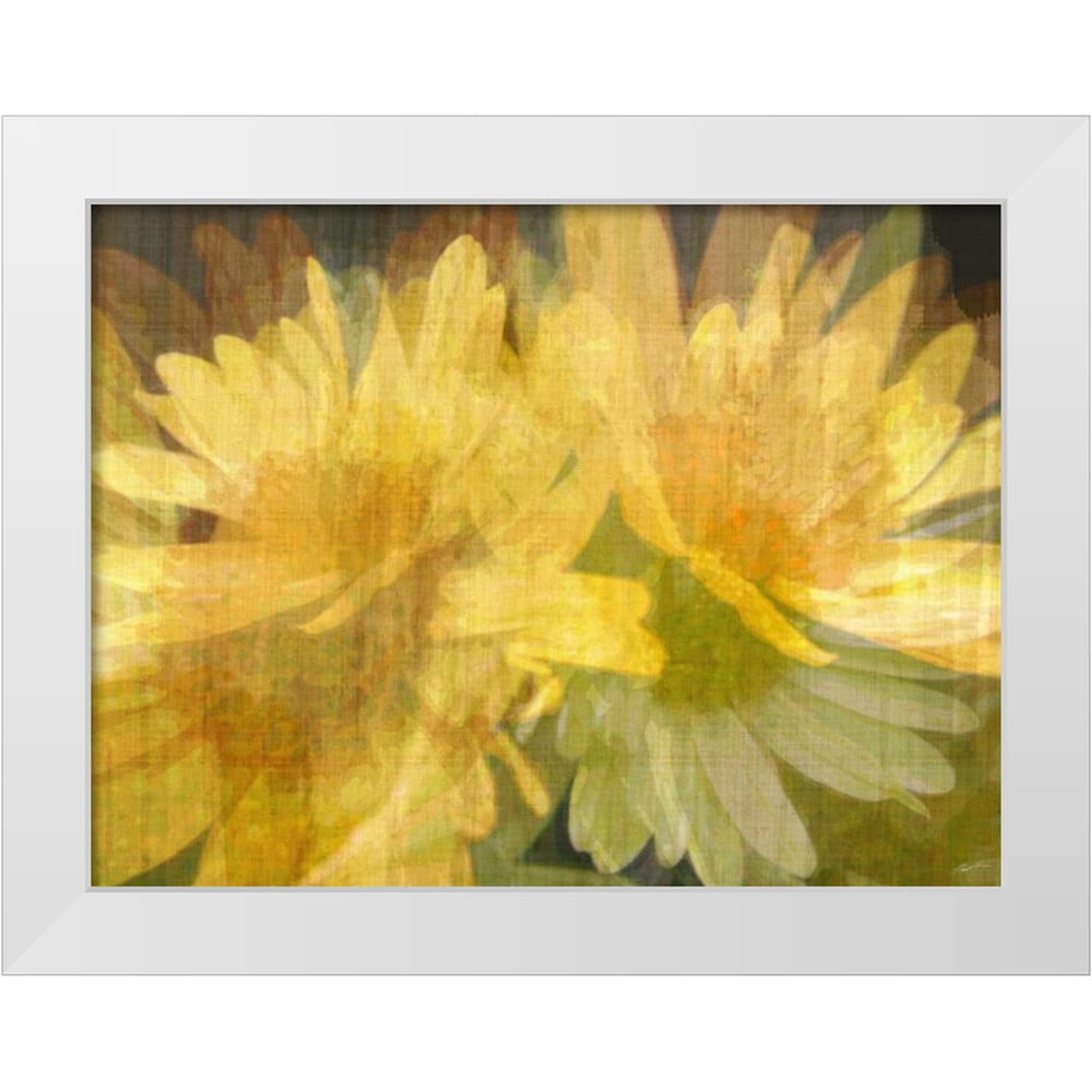 Butler, John 24x19 White Modern Wood Framed Museum Art Print Titled ...