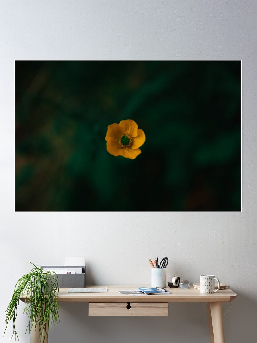 Buttercup Poster Wall Art, Modern Wall Decor For Living Room Bedroom ...