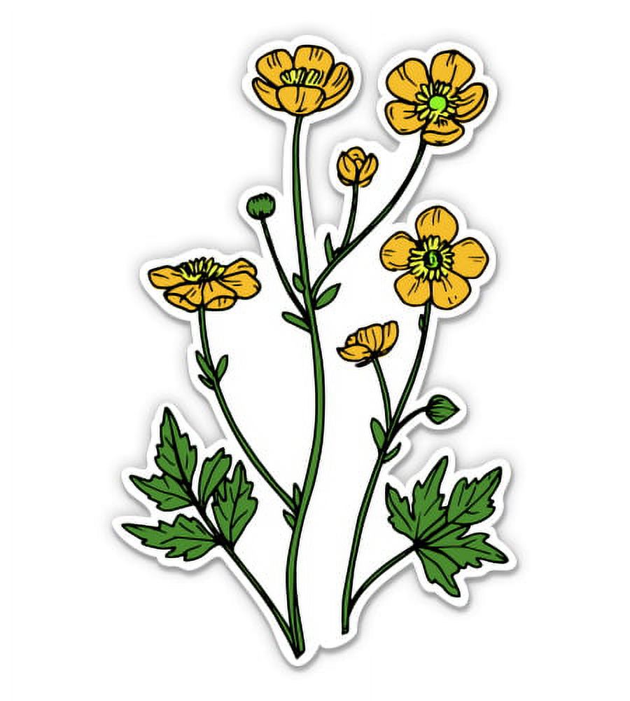 Buttercup Yellow Flower Wildflower - 8" Vinyl Sticker - For Car Laptop ...