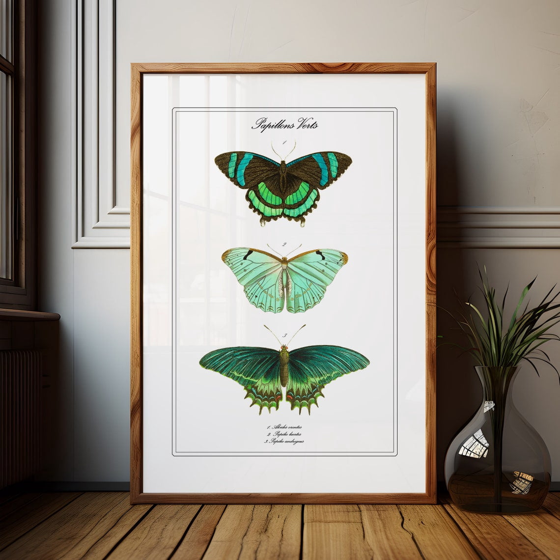 Butterflies Butterfly Art Vintage Decor Green Butterfly Wall Art ...