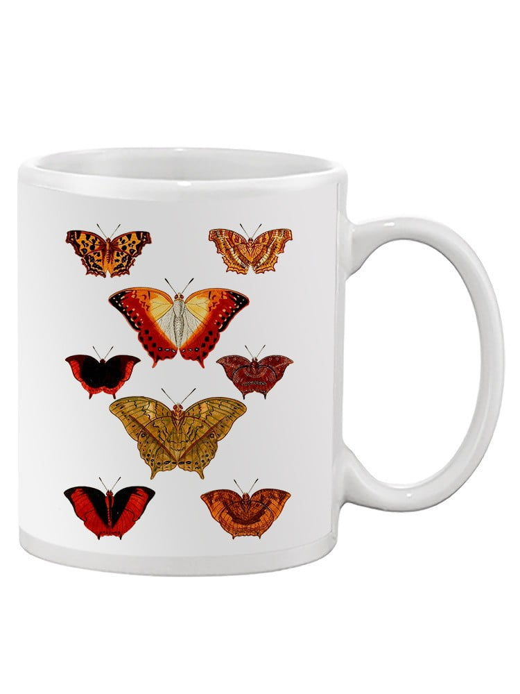 Butterflies Displayed I. Mug - Vision Studio Designs, - Walmart.com