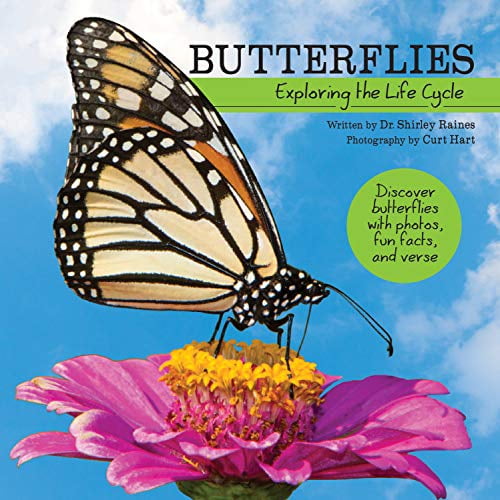 Pre-Owned Butterflies: Exploring the Life Cycle (Hardcover) 1486713211 9781486713219 - Walmart.com