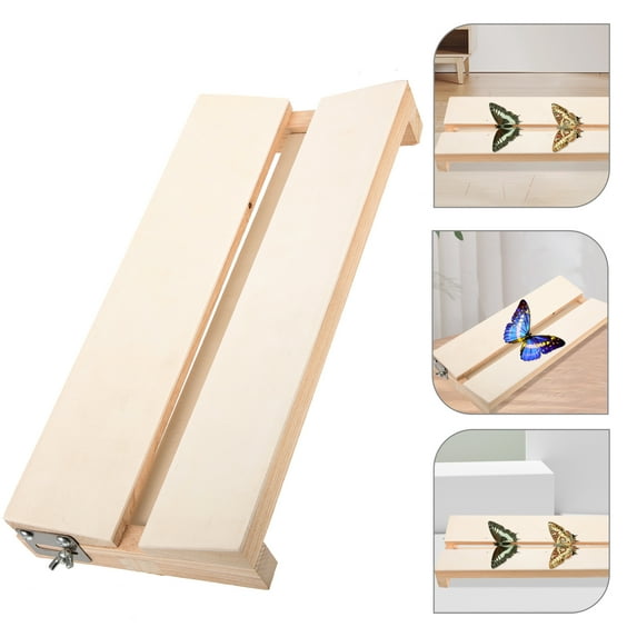 Butterflies Insect Specimen Board, Specimen Display Board Adjustable ...