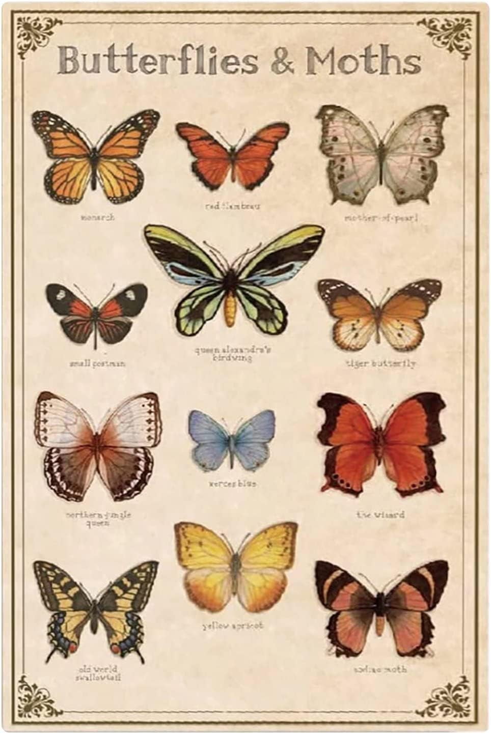Butterflies & Moths Metal Signs Wall Decor Retro Butterfly Type ...