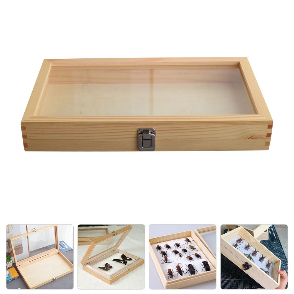Butterflies Specimen Display Case Wooden Collection Box Storage Case ...