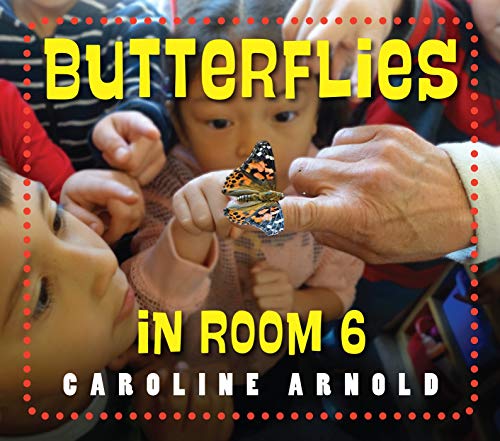 Pre-Owned Butterflies in Room 6: See How They Grow (Hardcover) 1580898947 9781580898942 ...