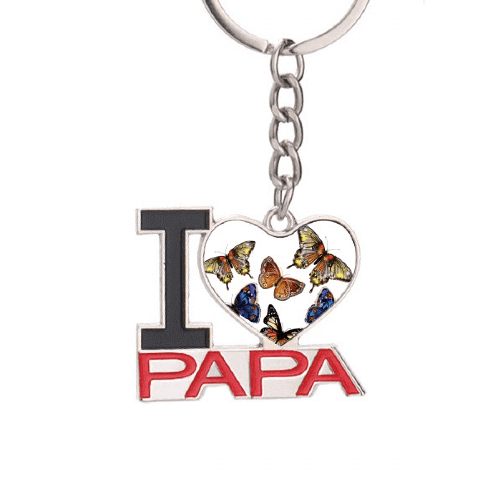 Butterflies with different colour Wings Keychain Metal Keyring Holder ...