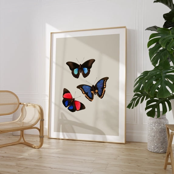 Butterfly Art Print Colorful Insect Illustration Nature Wall Decor ...