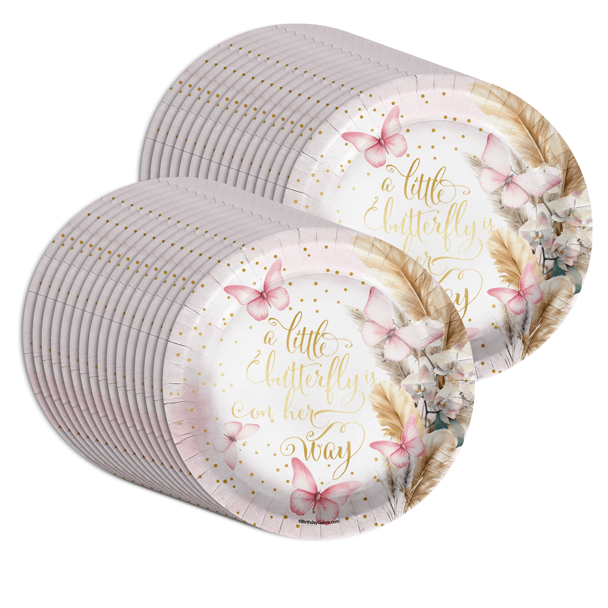 Butterfly Baby Shower Party Supplies Large 9