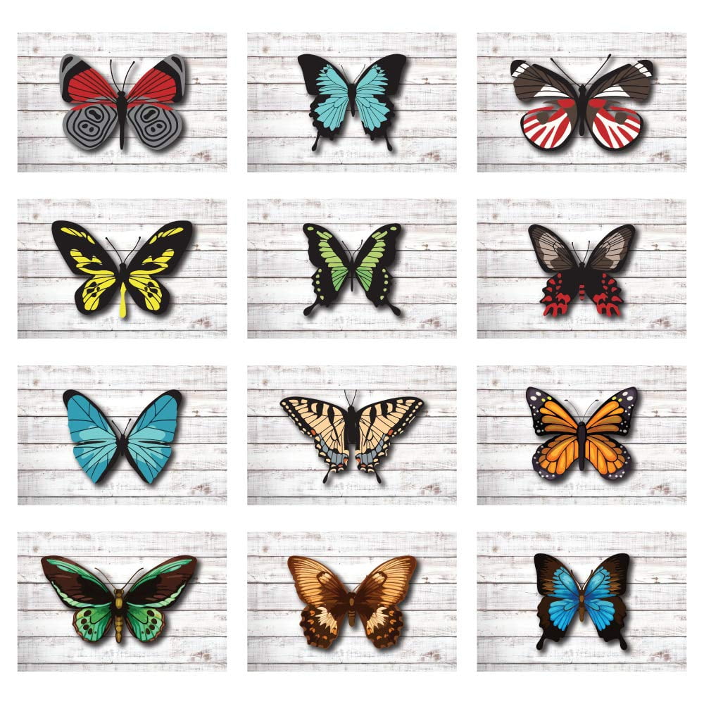 Butterfly Collection All-Occasion Blank Note Cards | 12 Pack Assortment ...