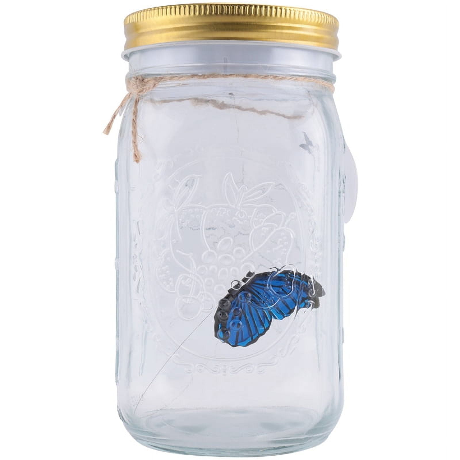 Butterfly Collection in A Jar, Butterfly Jar That Moves, LED Light ...