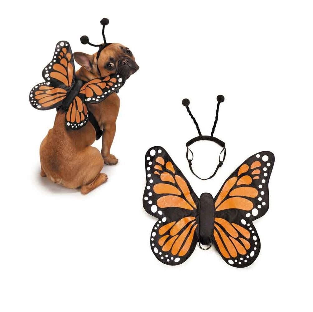 Butterfly Dog Costume Glow in the Dark Wings Doubles as a Harness CUTE ...