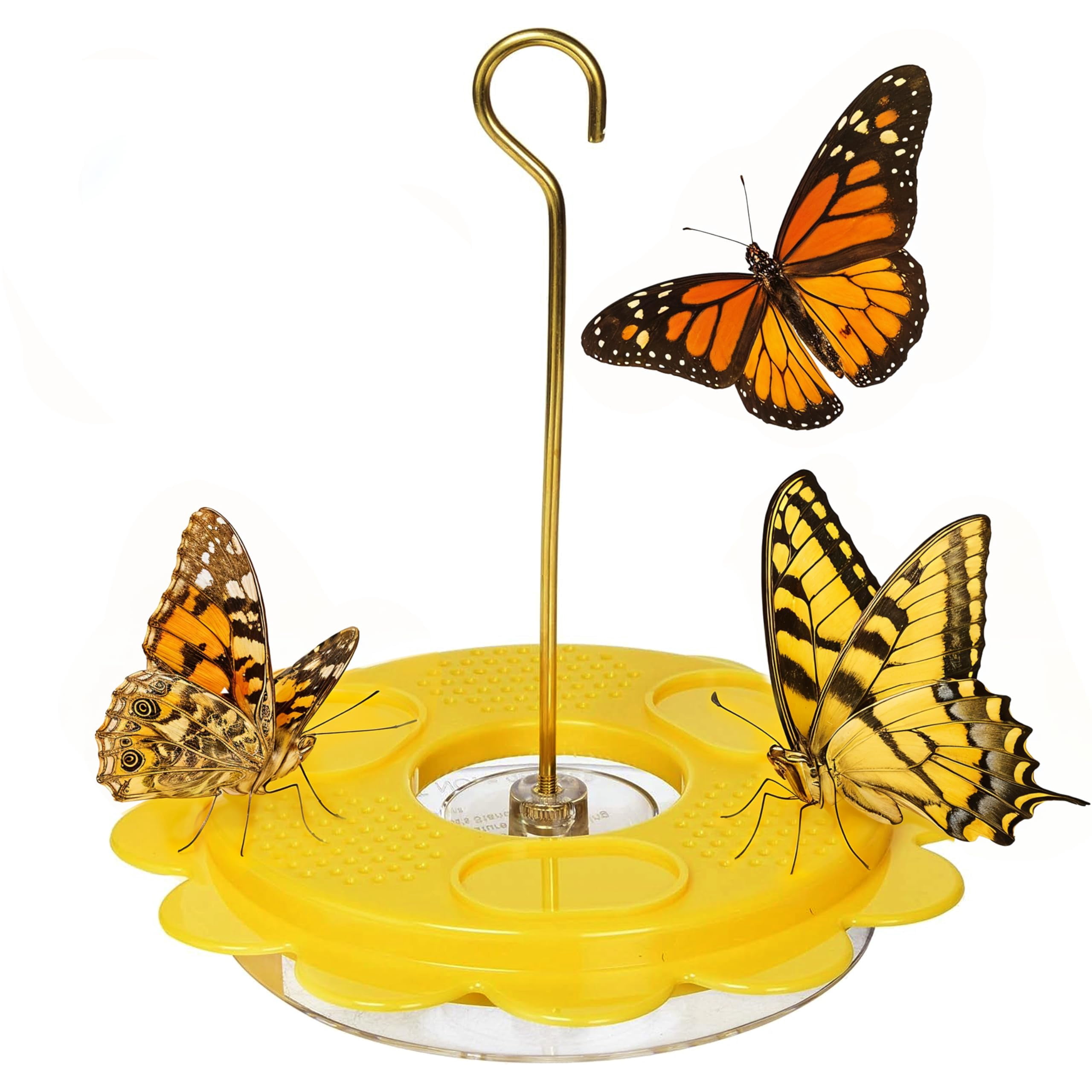 Butterfly Feeder with 12 Oz. Nectar Capacity and Fruit Trays - Walmart.com