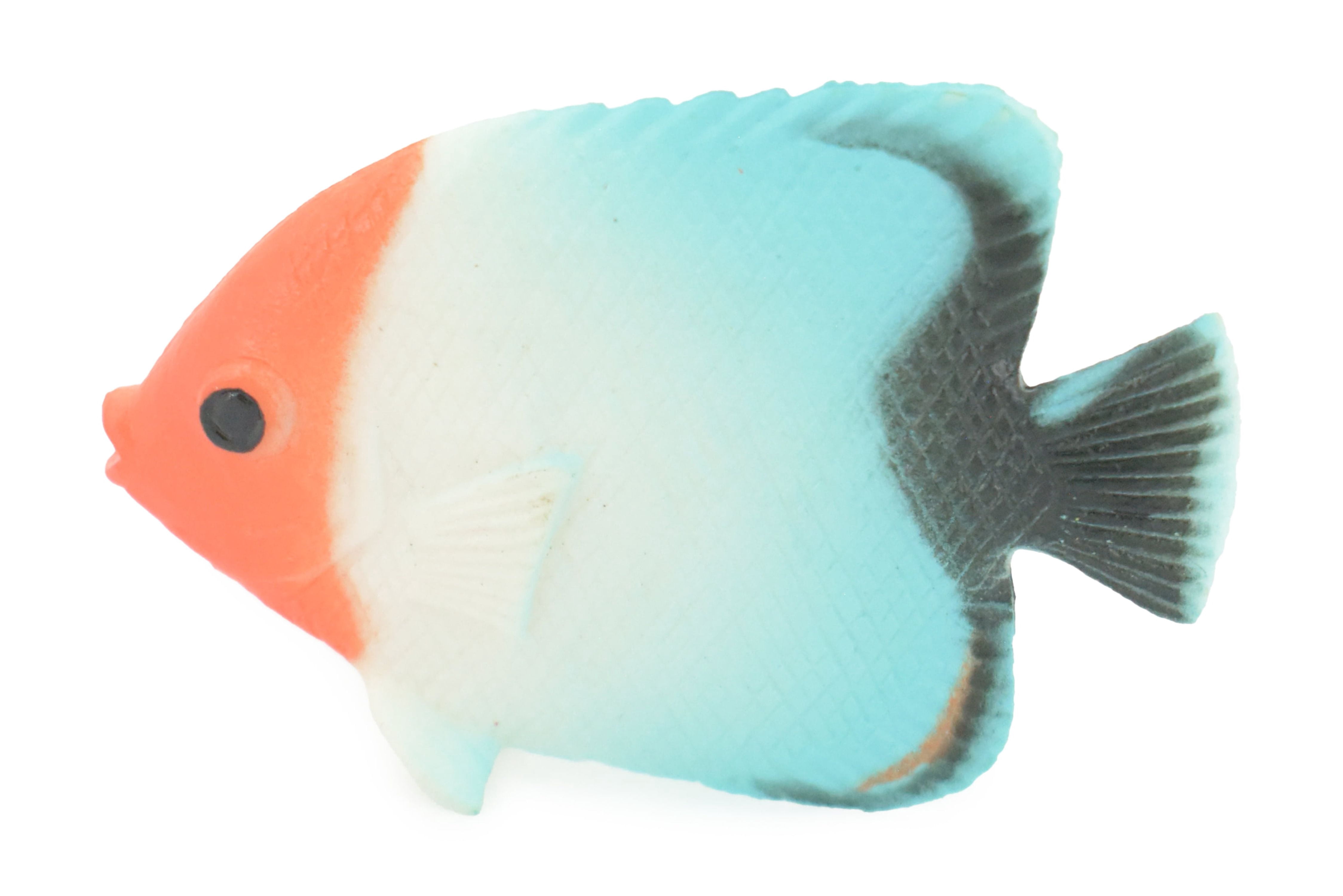 Butterfly Fish, Reefs Rainbow, Tropical Rubber Fish Design, Realistic ...