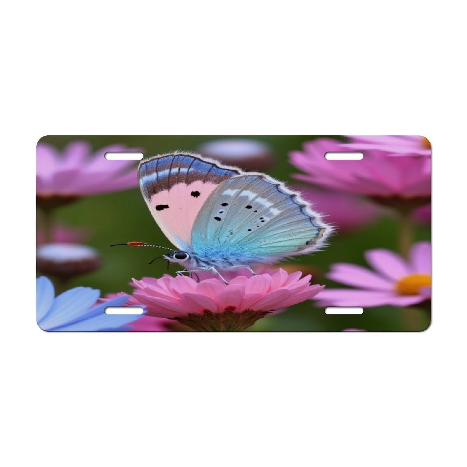 Butterfly Floral Print-1 Car Decorative Front License Plate,Vanity Tag ...
