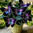 Butterfly Flower Hostas Cultivation Granules-(Non-Artificial)-Bloom ...