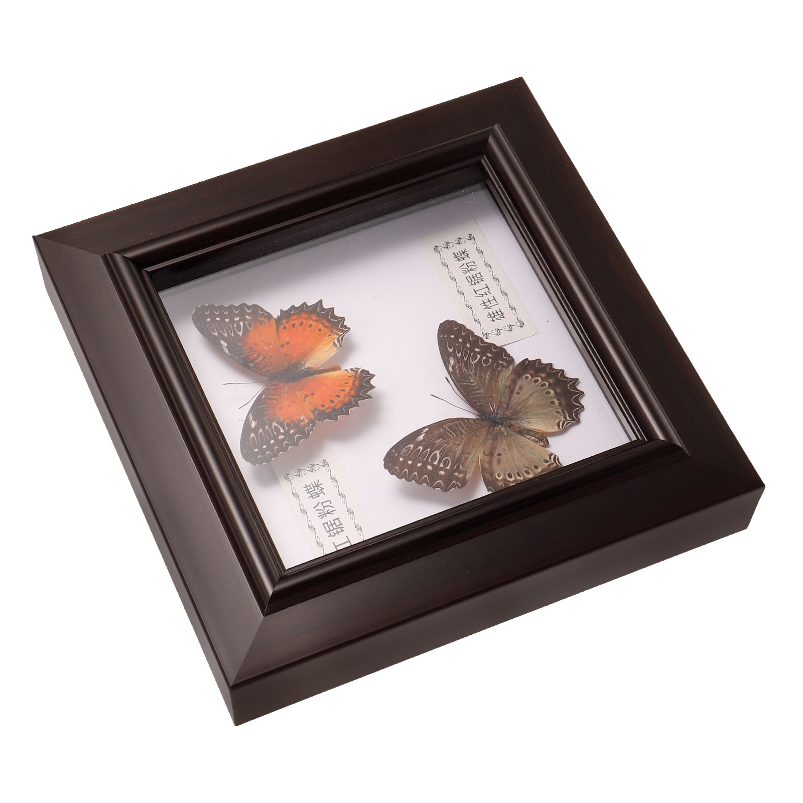 Butterfly Frame Vintage Framed Butterfly Specimen Simulation Butterfly ...