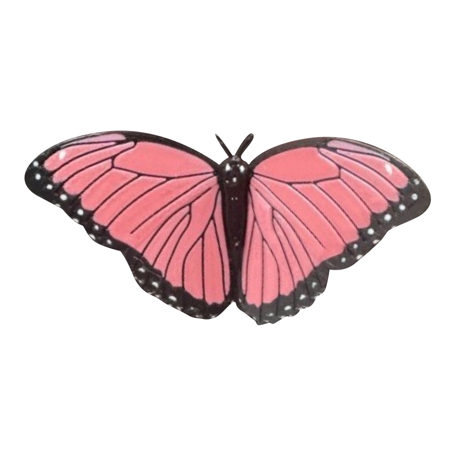 Butterfly Fridge Magnets Set - Colorful 3D Kitchen Refrigerator ...