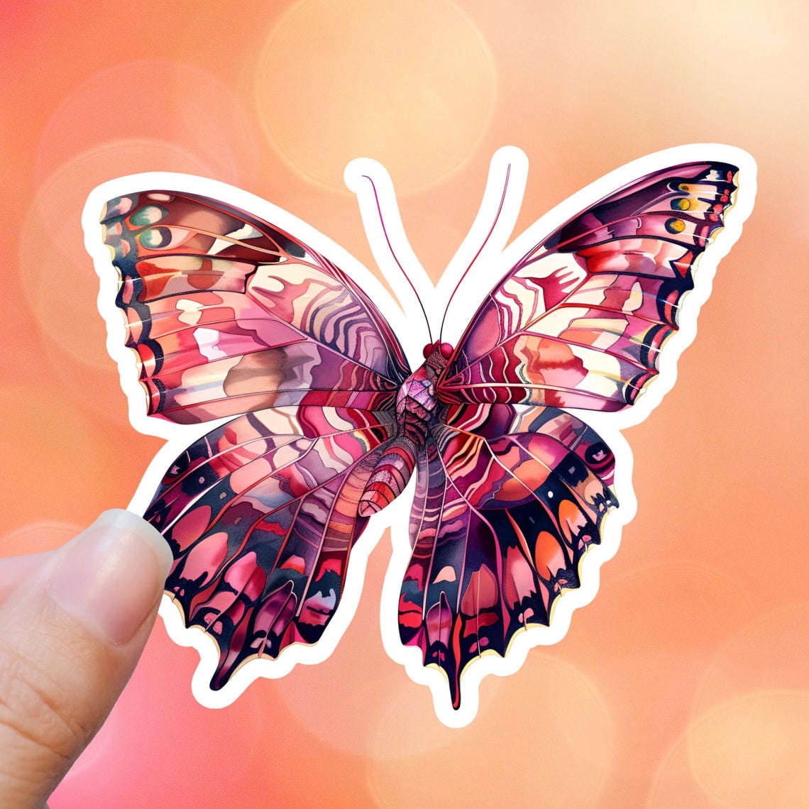 Butterfly Girly Monarch Butterfly Her Spring Style Decor Coquette ...