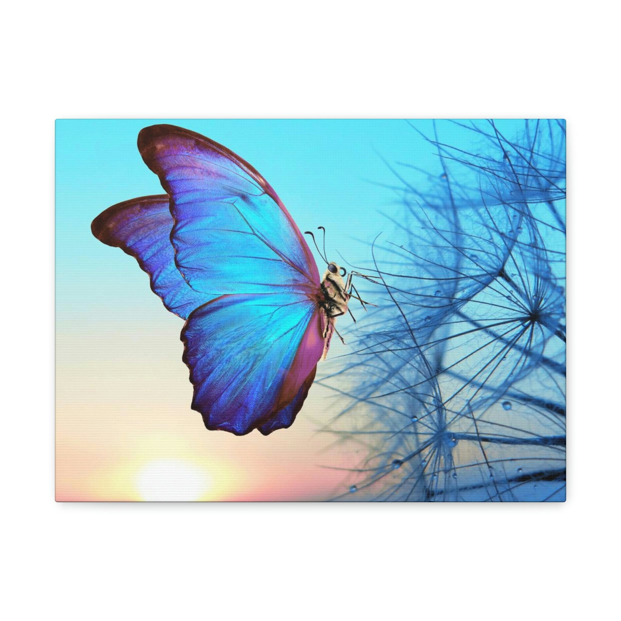 Butterfly Hunting Butterfly on Hunt Print Animal Wall Art Wildlife ...
