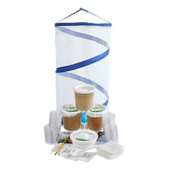 Butterfly Caterpillar Kit