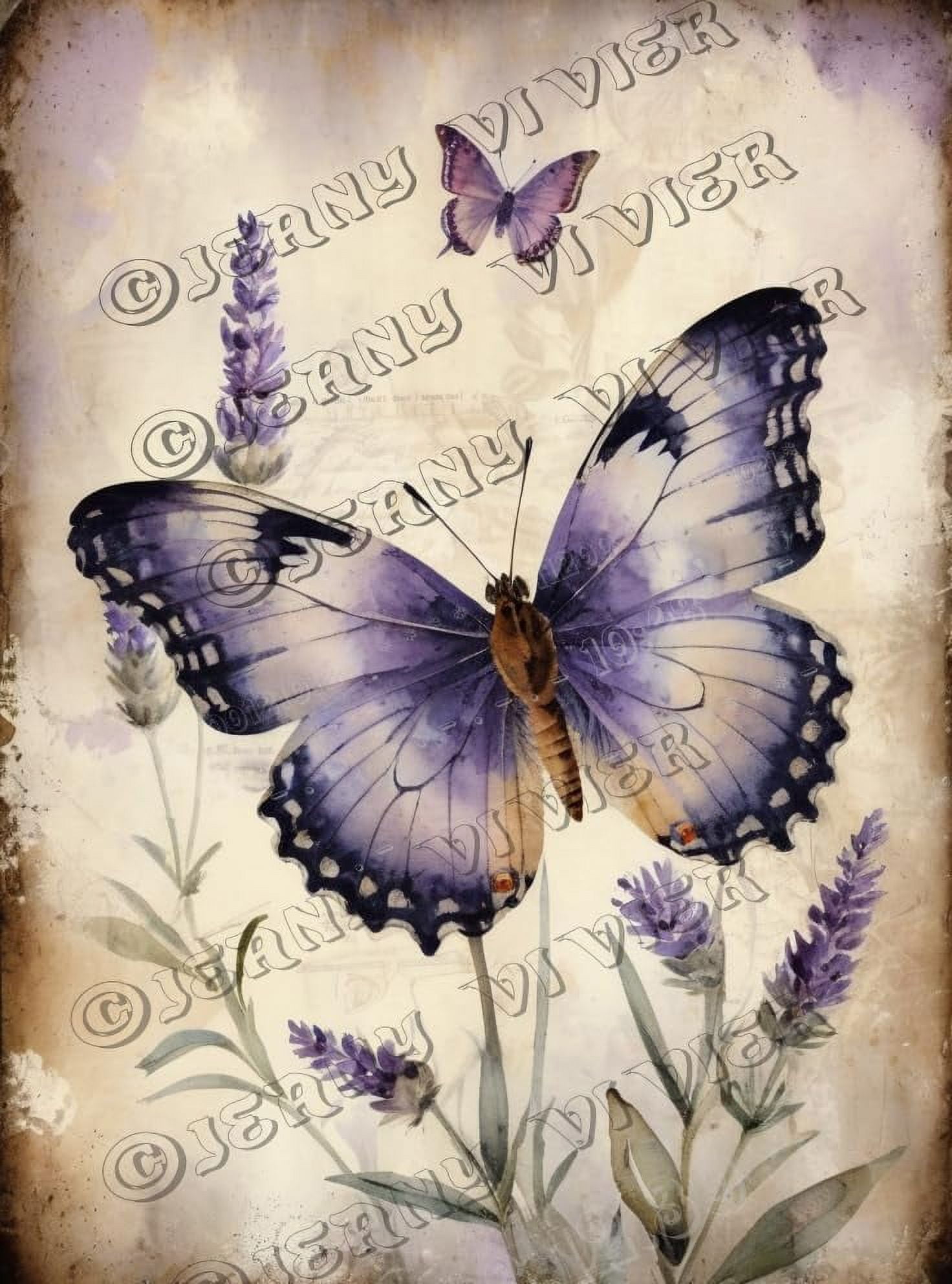 Butterfly and Lavender Retro Aluminum Sign 5.5x8 IN Metal Sign French ...