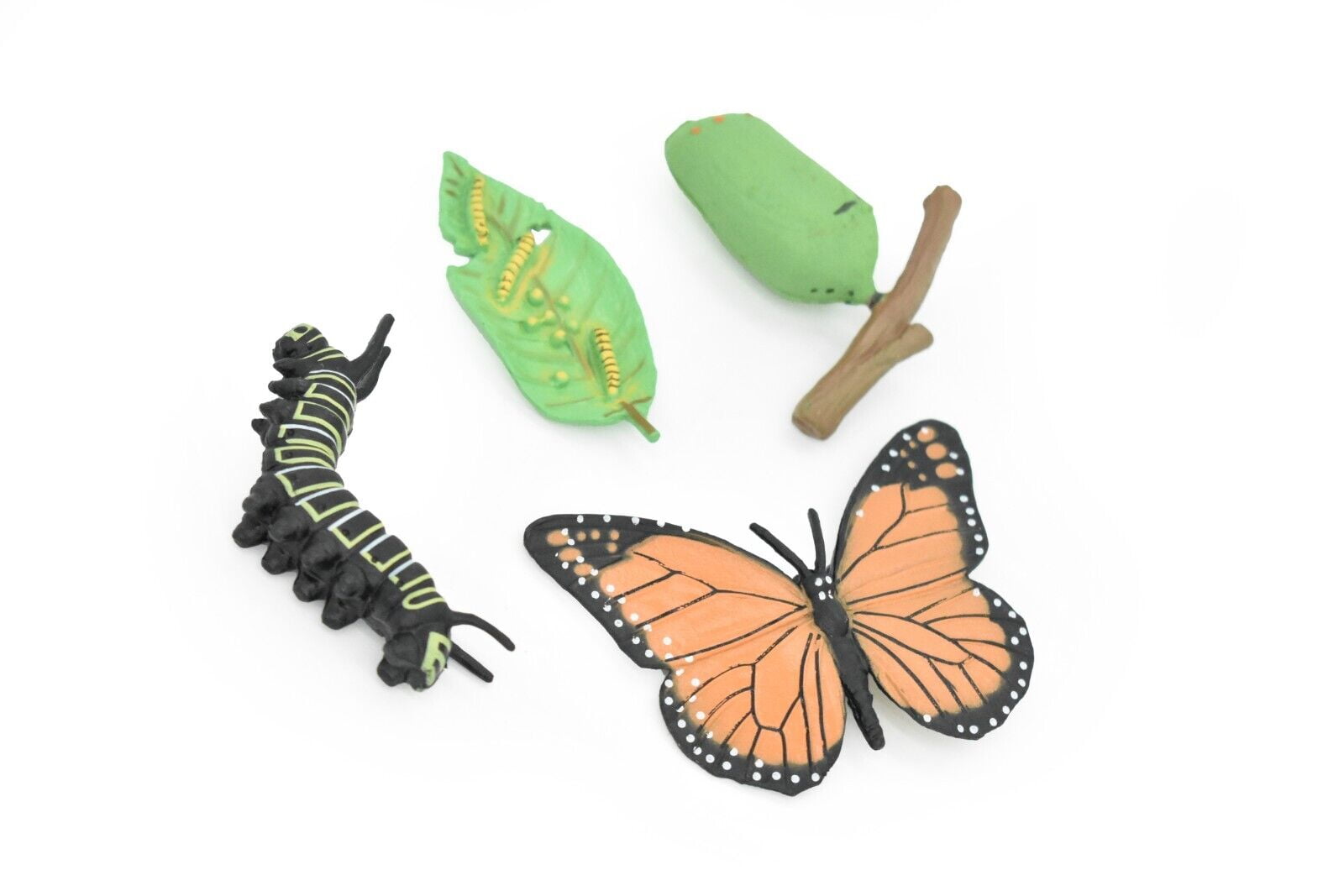 Butterfly, Monarch, Learn the Butterfly Life Cycle, Very Nice Plastic ...