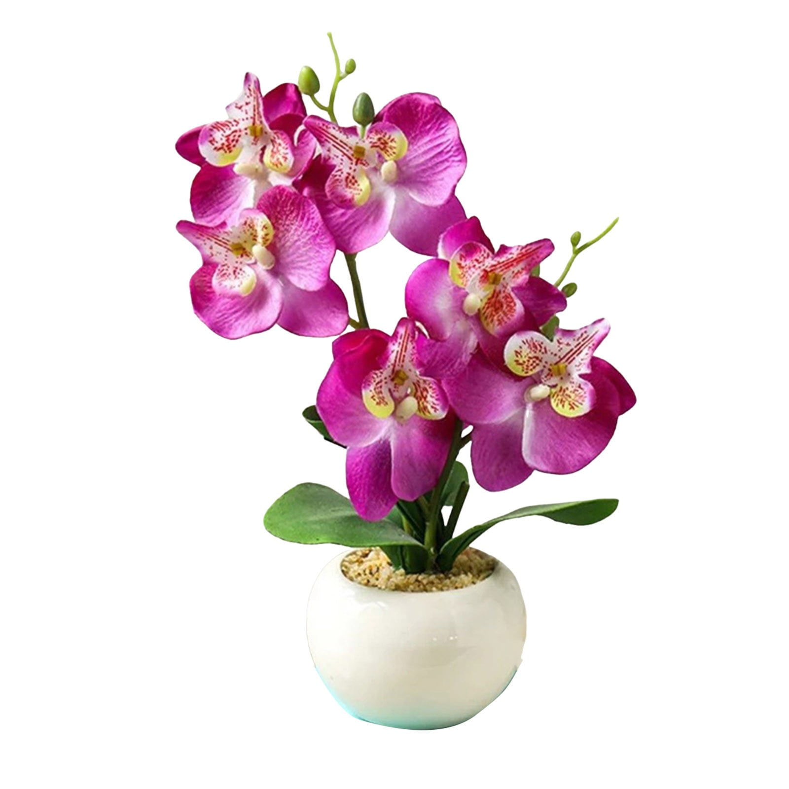 Butterfly Orchid Potted Bonsai With Pot For Home Bedroom Living Room ...