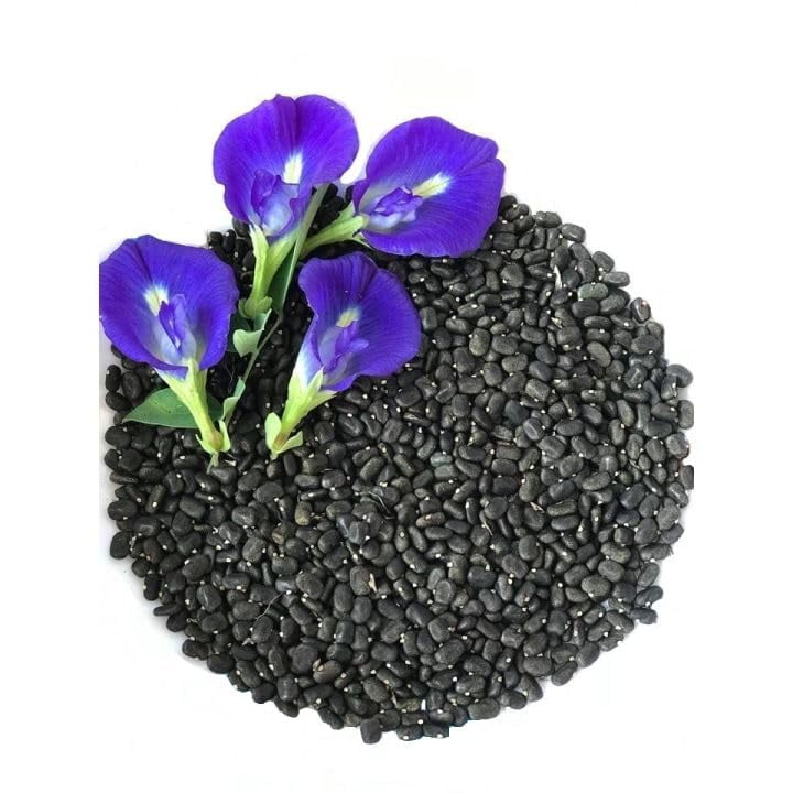 Great Description About Butterfly Pea Flower Seeds