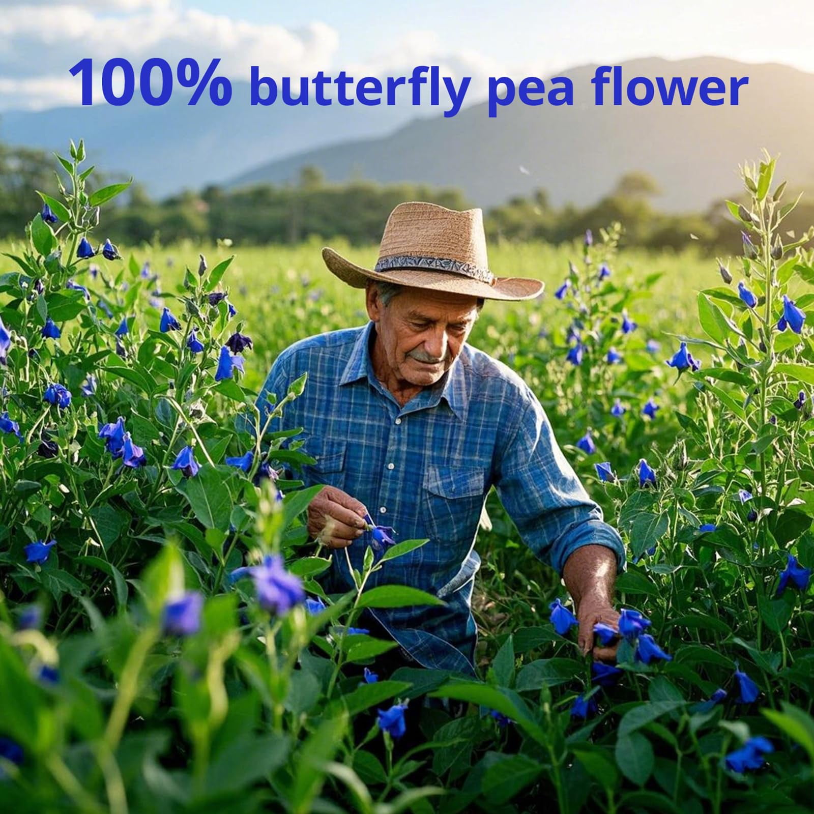 Butterfly Pea Flower TWE5 Powder 4oz | Natural Blue Food Coloring for ...