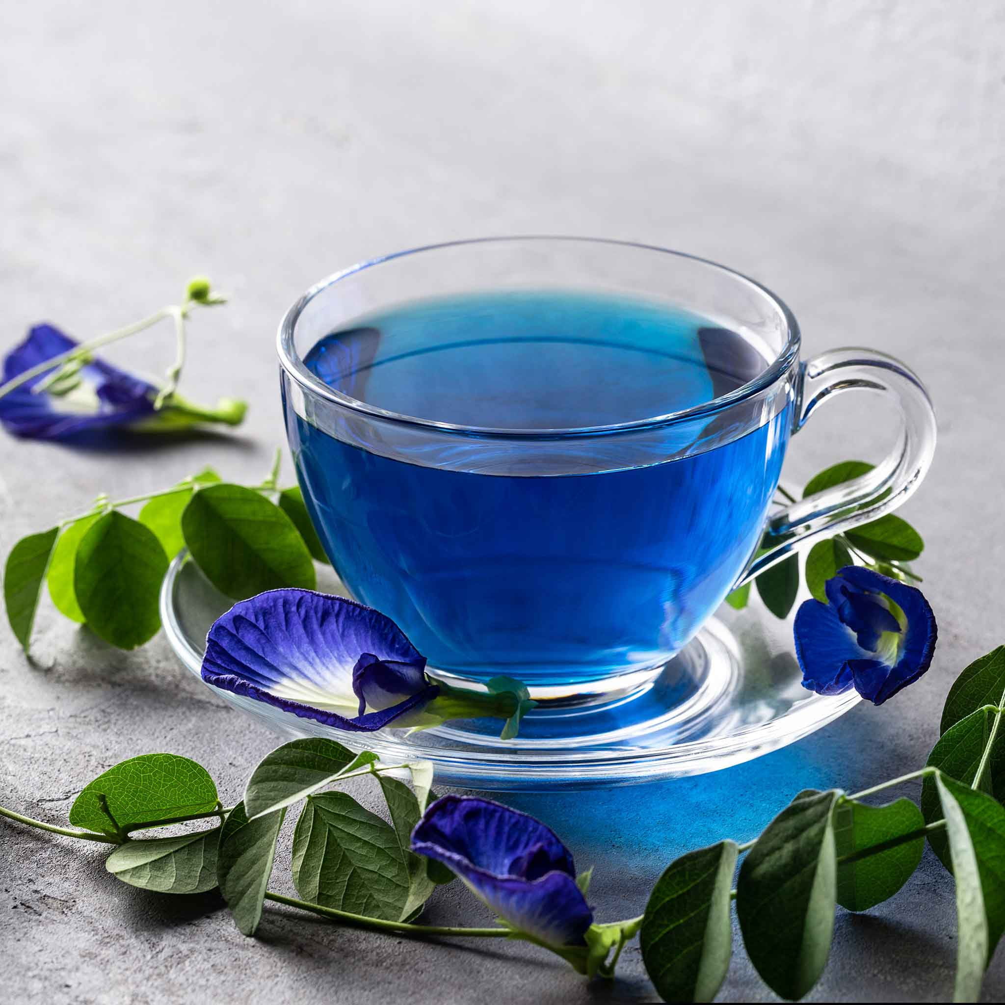 Eden Brothers Butterfly Pea Seeds - Blue - Walmart Business Supplies