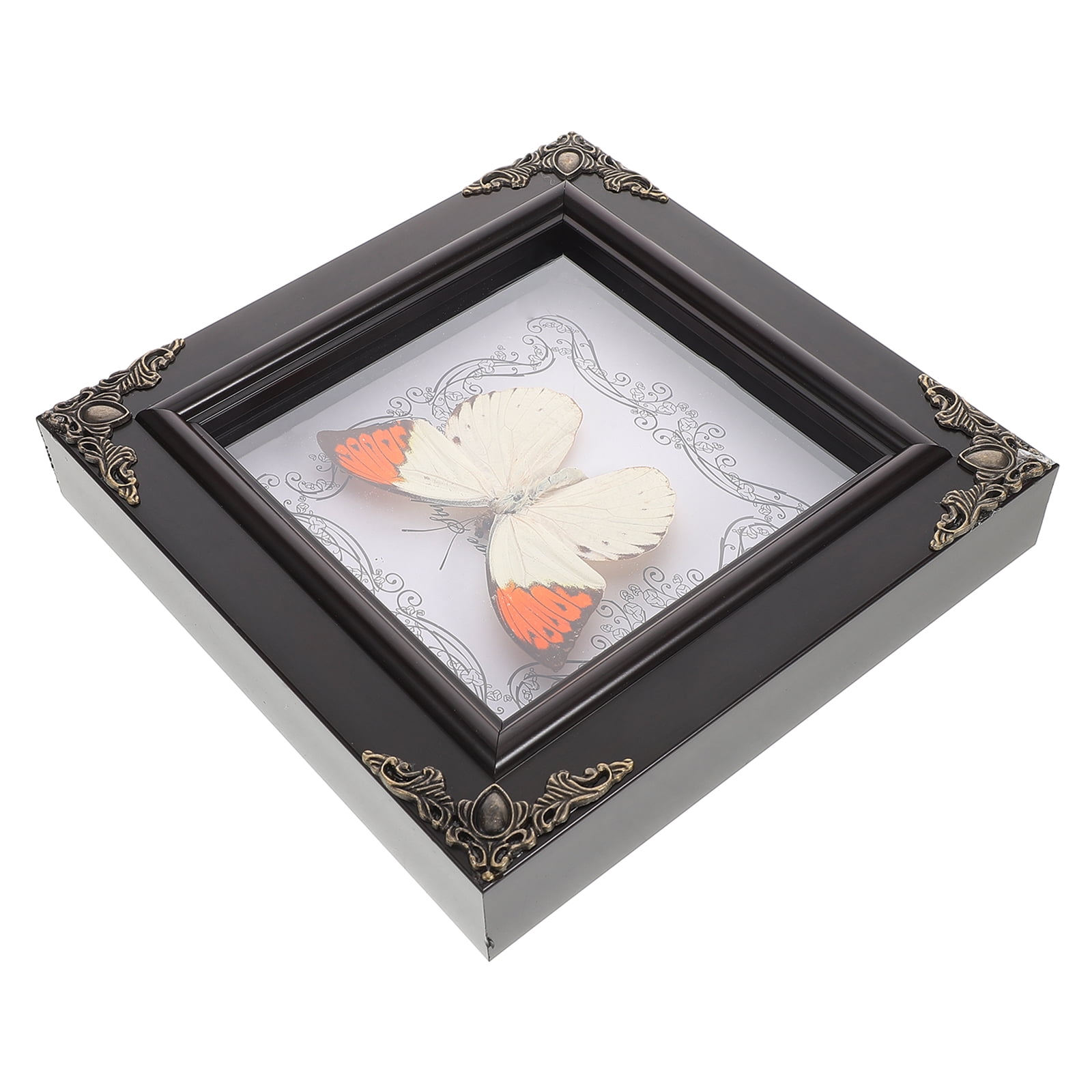 Butterfly Photo Frame Retro Decor Butterfly Collection Insect Display ...