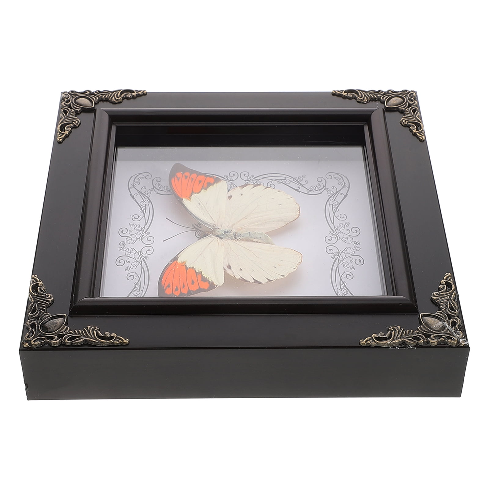 Masteelf Real Butterfly Specimen Frame Vintage Display Frame for ...