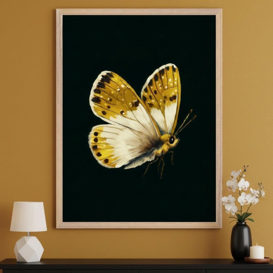 Butterfly Scientific Illustration Vintage Entomology Poster Unframed ...