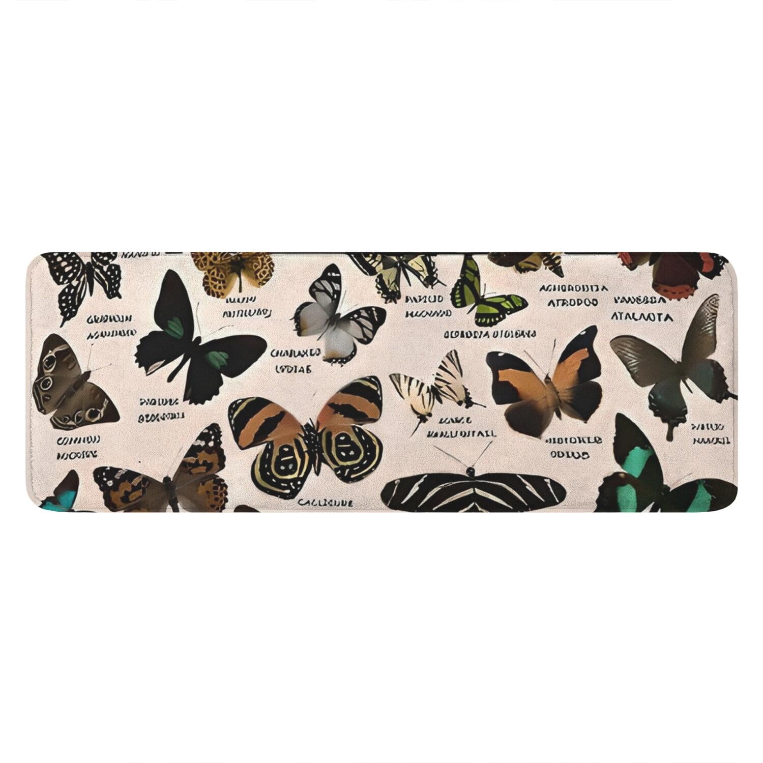 Butterfly Species Chart Kitchen Rug Mat,Kitchen Runner Rugs Non Skid ...