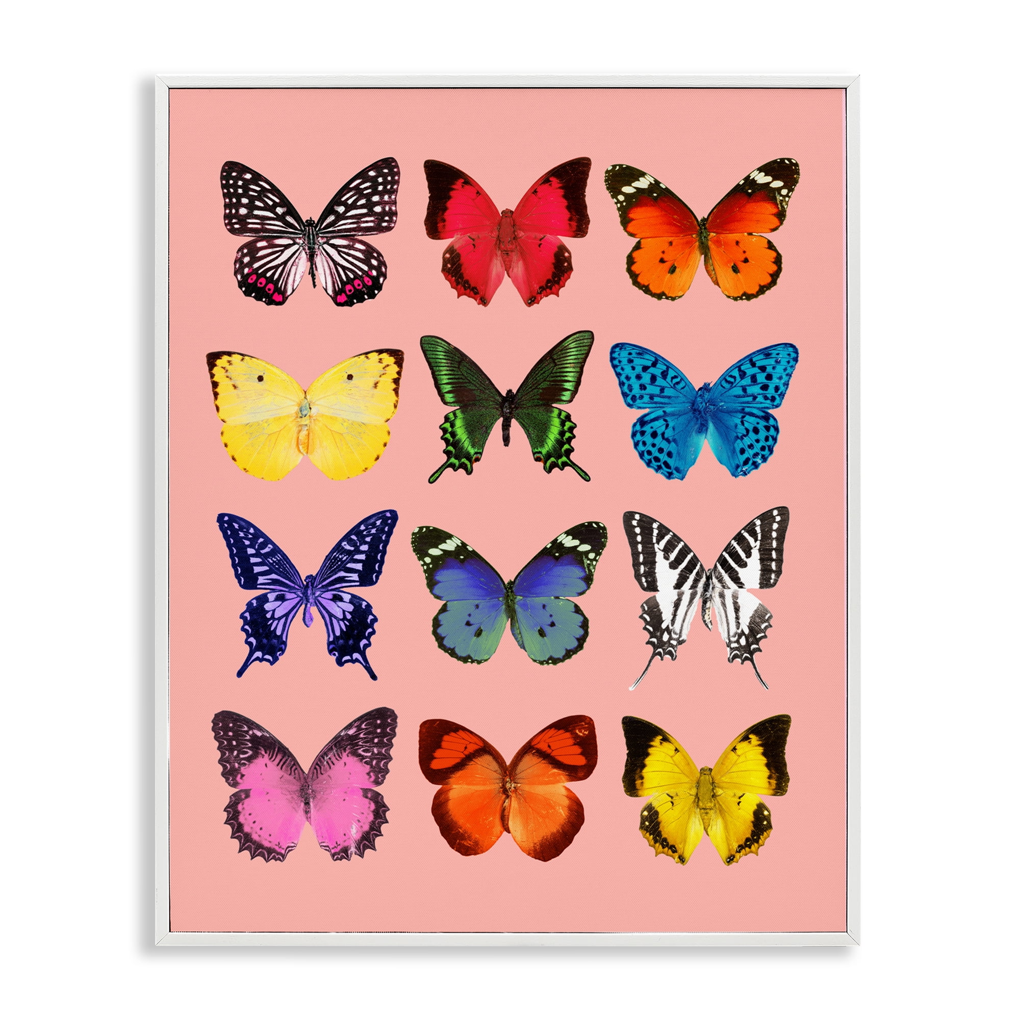 Butterfly Species on Pink White Framed Giclee Art, design by LISH ...
