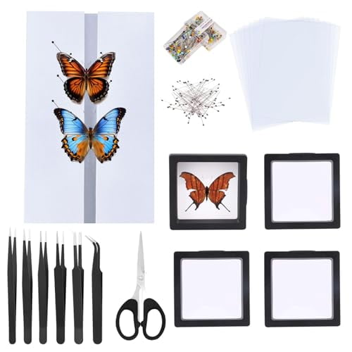 Butterfly Specimen Kit Includes pins, mounting Board, Spreading Tools ...