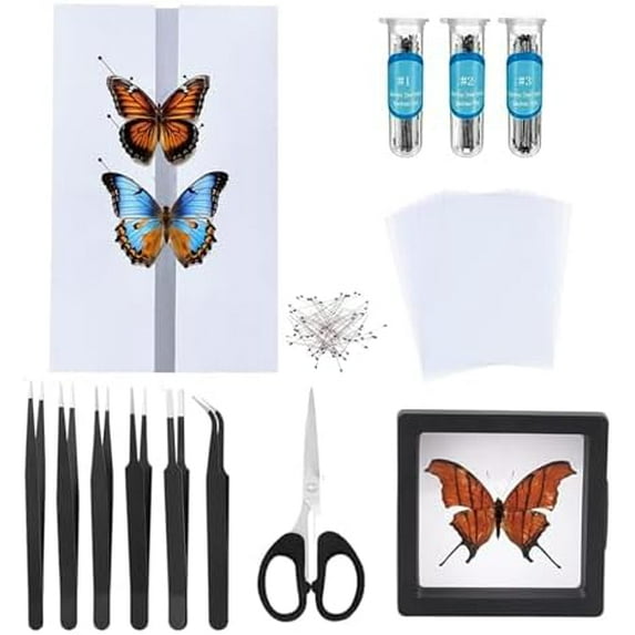 Butterfly Specimen Kit Includes pins, mounting Board, Spreading Tools ...
