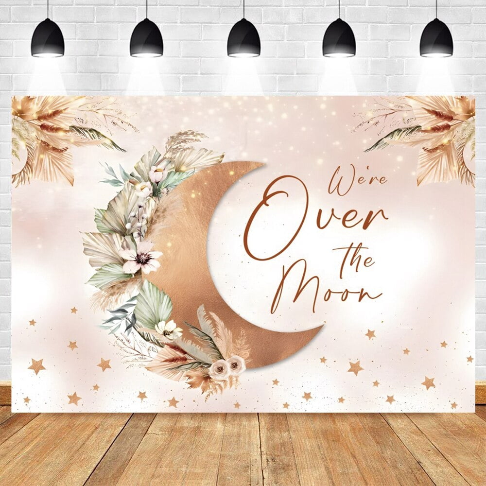 Butterfly Swan Rainbow Flower Boho Backdrop Newborn Baby Shower ss Girl ...