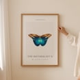 Butterfly The Naturalist Miscellany Idomeneus Poster Unframed Paper ...