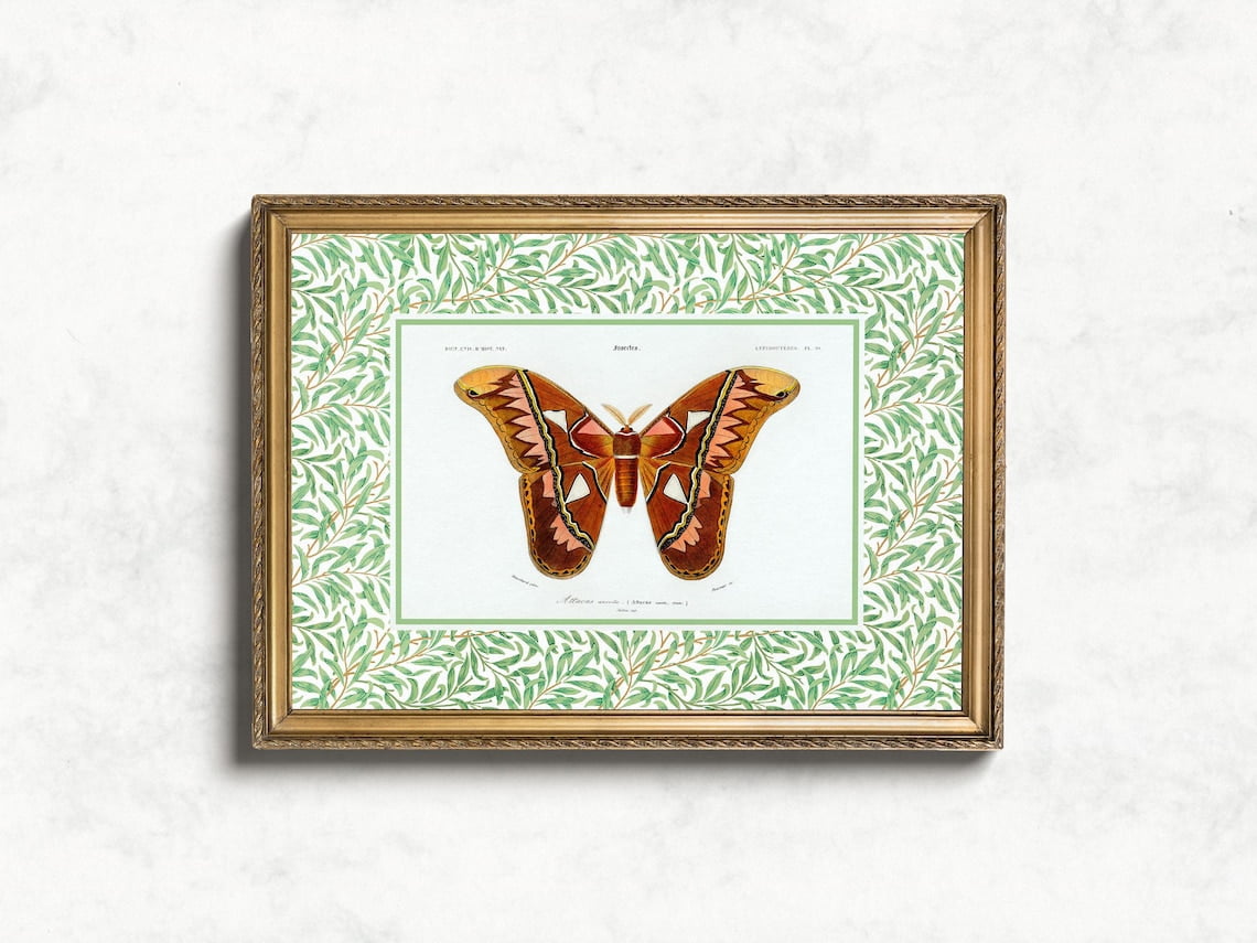 Butterfly Wall Art, 16X20 Butterfly Wall Art, Vintage Butterfly Drawing ...