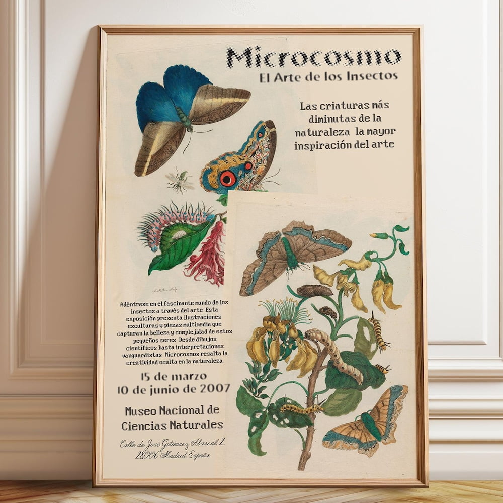 Butterfly Wall Art - Insect Art Museum Poster Microcosmo Print - Retro ...