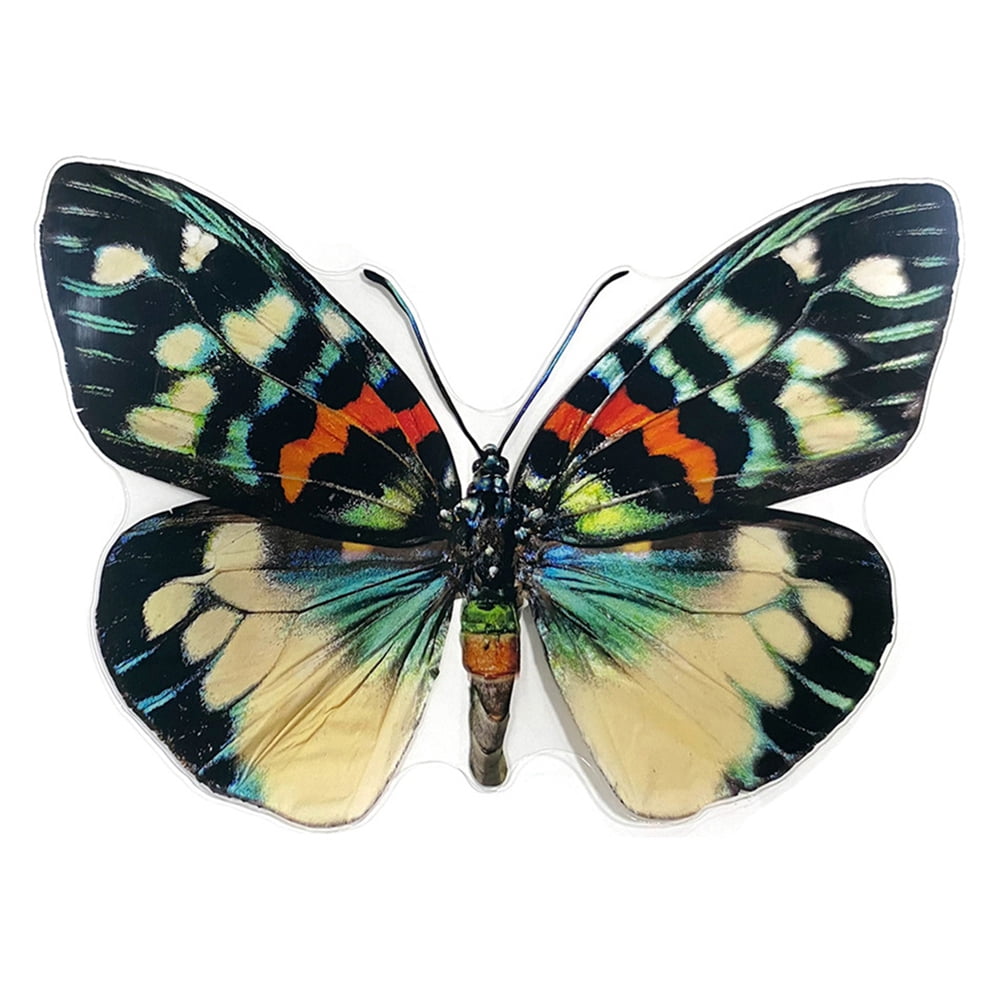 Butterfly Wall Stickers Decor,16" 3D Large Butterflies Wall Decals ...