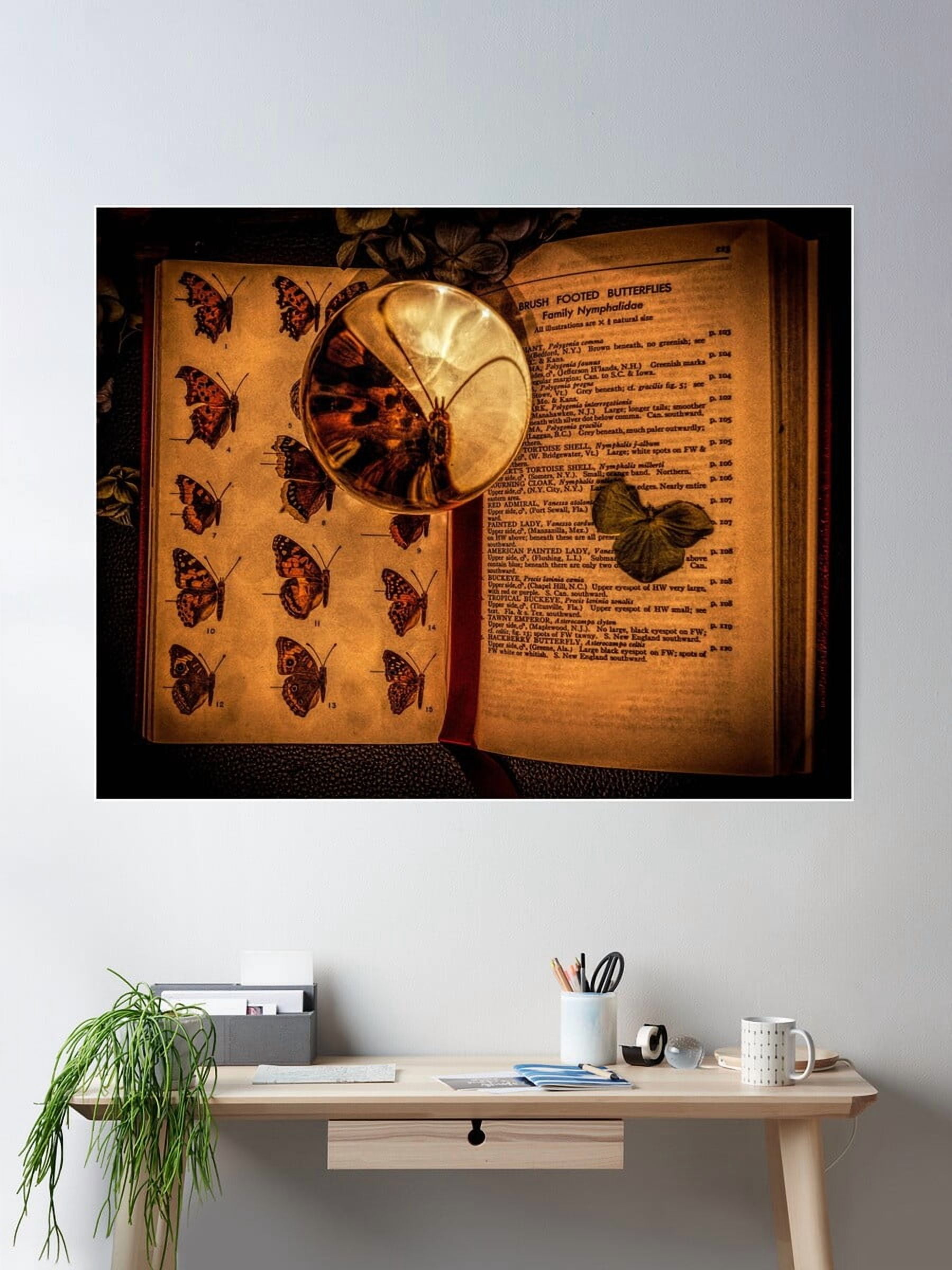 Butterfly Wings Book Under The Magnifying Loop Poster Wall Art Modern ...