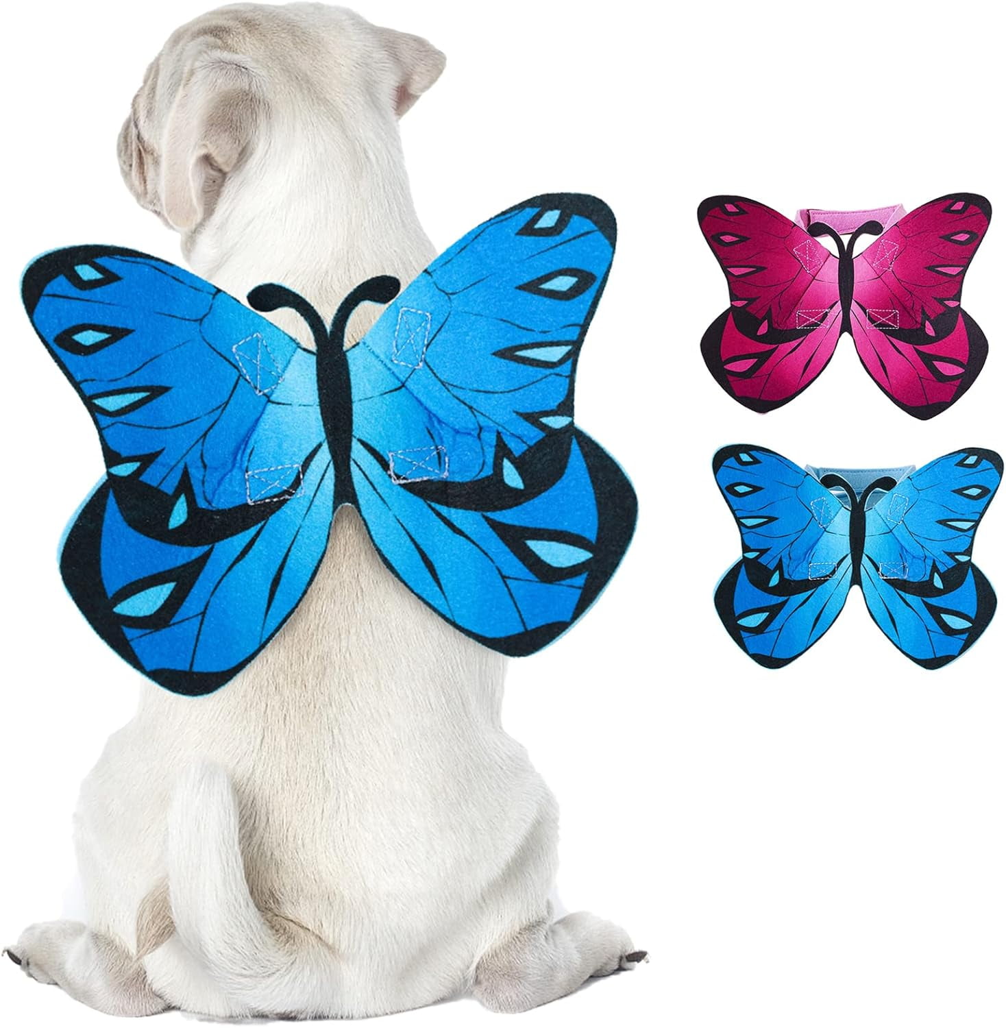 Butterfly Wings for Dogs Halloween Costumes, Cat Butterfly Wings ...