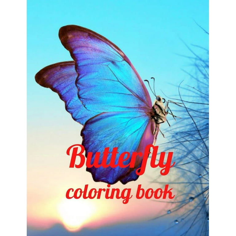 kids coloring book butterfly