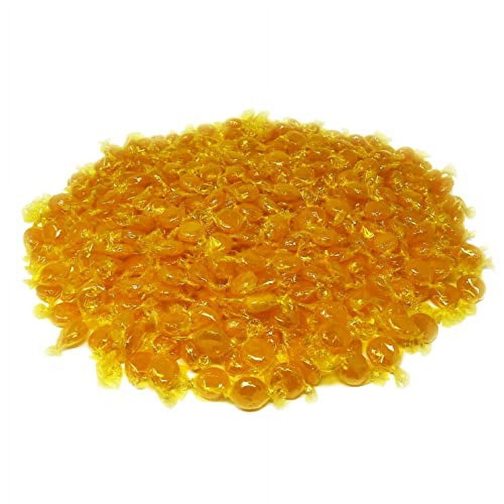 LNJ Candies Classic Butterscotch Hard Candy Discs, 6 lbs, Bulk ...