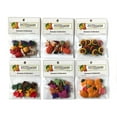 Buttons Galore 50+ Assorted Buttons for Sewing & Crafts - Autumn - Set ...
