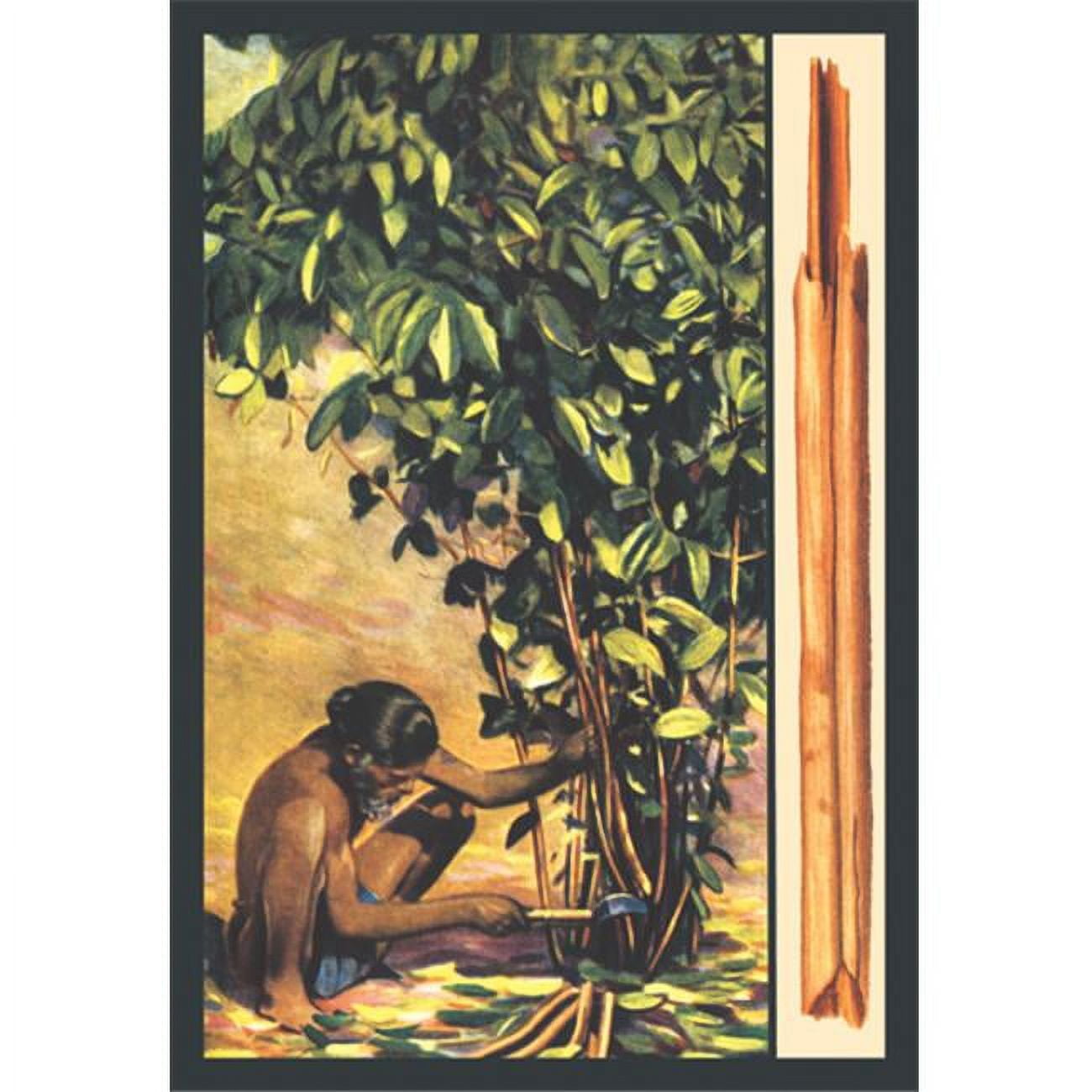 Buy Enlarge 0-587-08333-6P20x30 Cinnamon- Paper Size P20x30 - Walmart.com