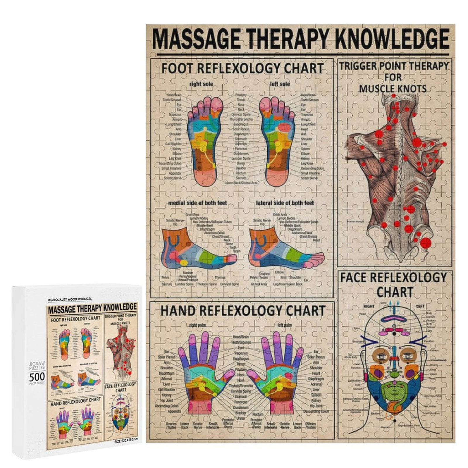 Buy Massage Therapist Knowledge Poster, Massage Therapy Foot Reflexology Chart Trigger Point ...